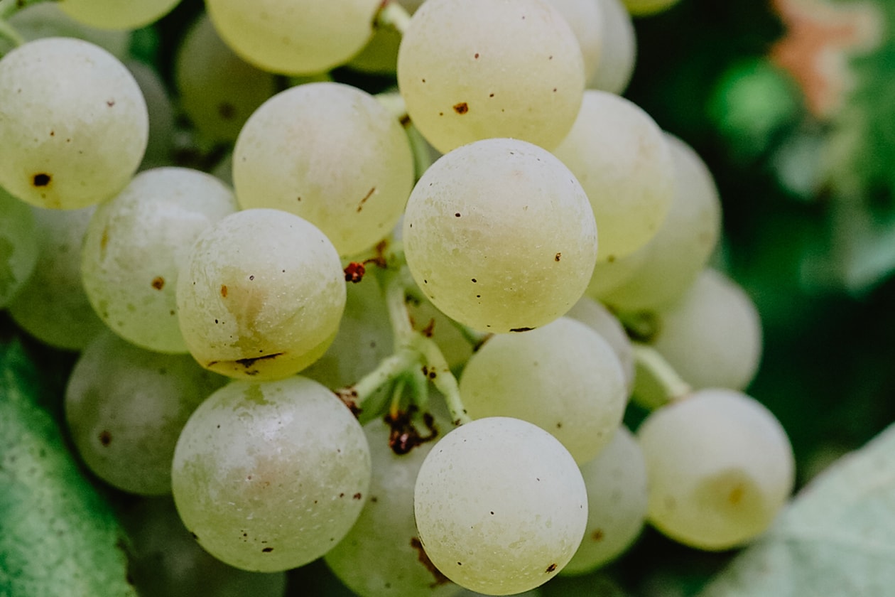 Jean-Michel Othoniel Hennessy X.O Bottle Collaboration | Hypeart