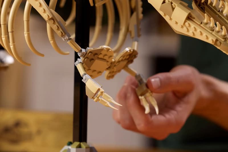 LEGO Jurassic World T Rex Fossil Set Release Info | Hypebeast