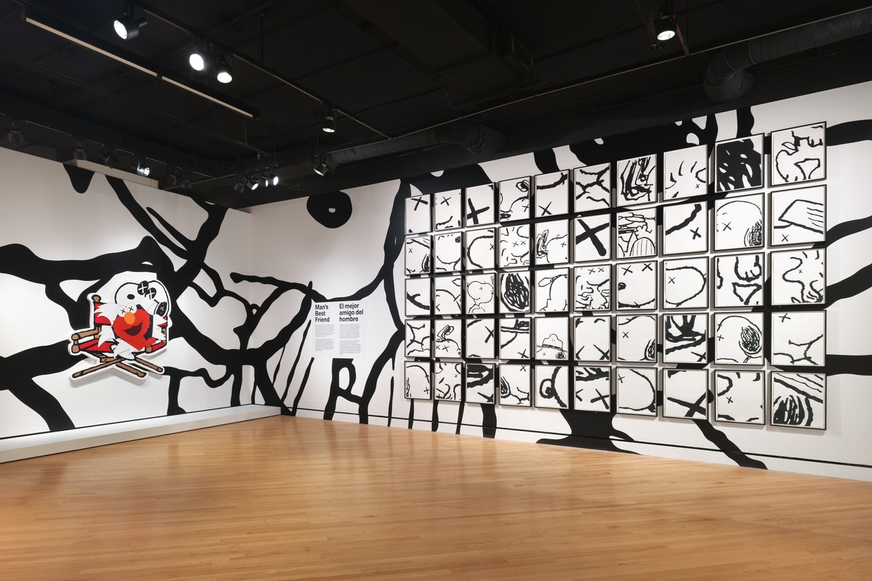 KAWS Interview with Curator Alejo Benedetti | Hypeart