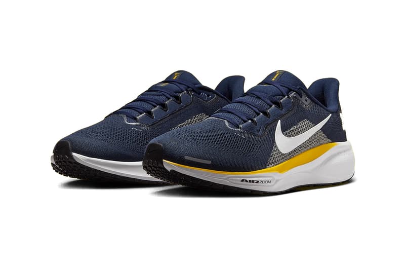 Nike Pegasus 41 NCAA 2025 Collection Release Info | Hypebeast