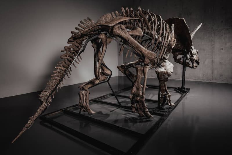 JOOPITER Triceratops Skeleton Auction Announcement Info | Hypebeast