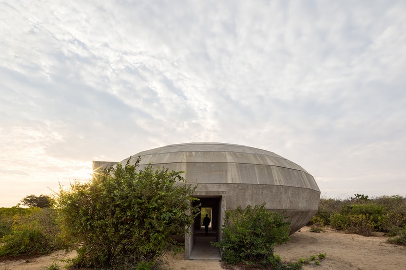 OMA Shohei Shigematsu Mushroom Pavilion: opening info e dettagli sul ...