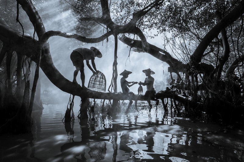 Sony World Photography Award 2026 Winners | Hypebeast
