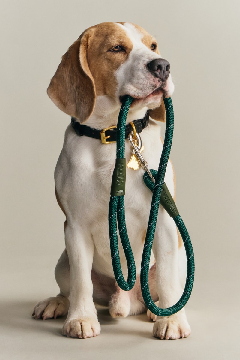 Kith for wagwear 首个宠物系列发售信息 | Hypebeast