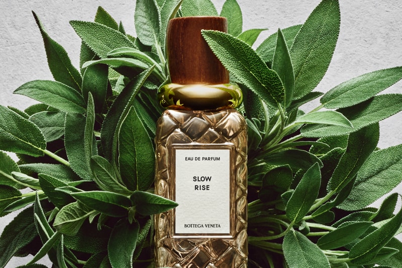 Bottega Veneta Fragrances Alta Collection 출시 정보 | Hypebeast.KR | 하입비스트