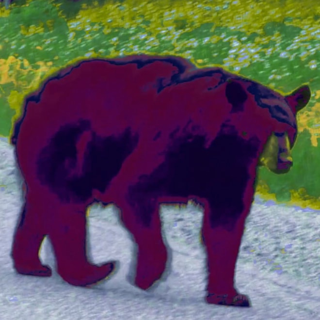 Crystal Stilts - Star Crawl | Hypebeast