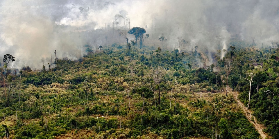 LVMH : un don de 10 millions d'euros pour lutter contre les incendies ...