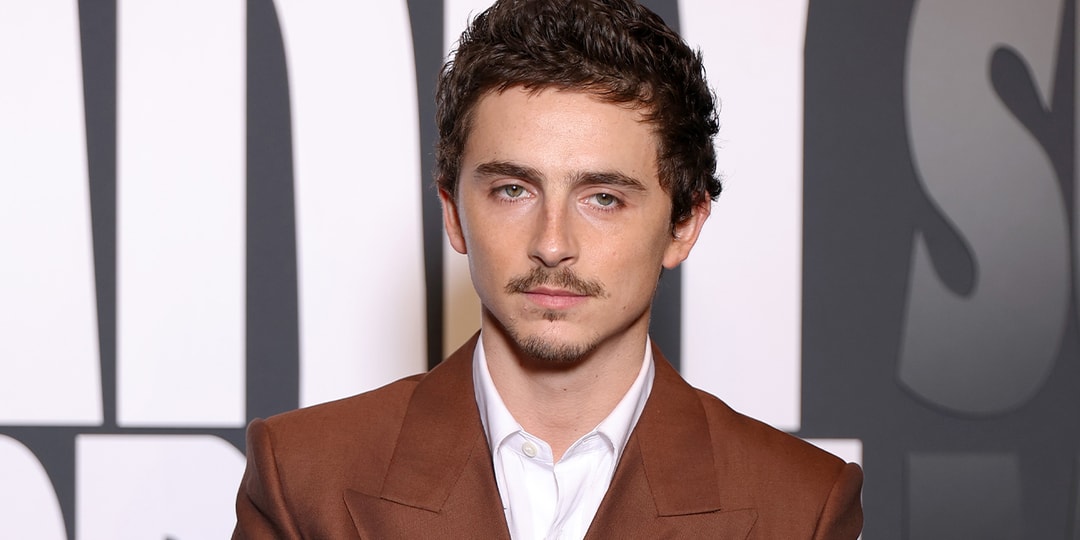 American Cinematheque annonce une rétrospective Timothée Chalamet avec ...