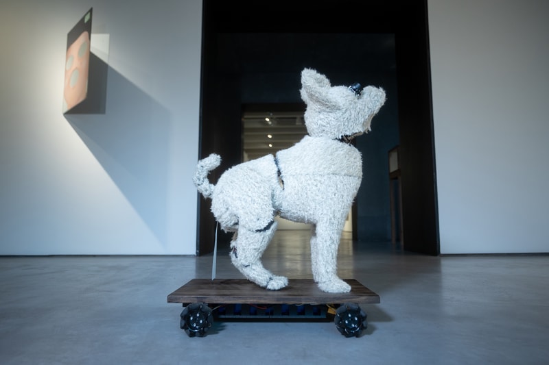 Mario Klingemann A.I.C.C.A. at Coleccion SOLO | Hypeart