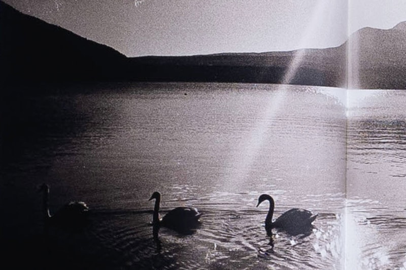 nanamica OOAL Slow Collapse Photography Nature Book | Hypeart