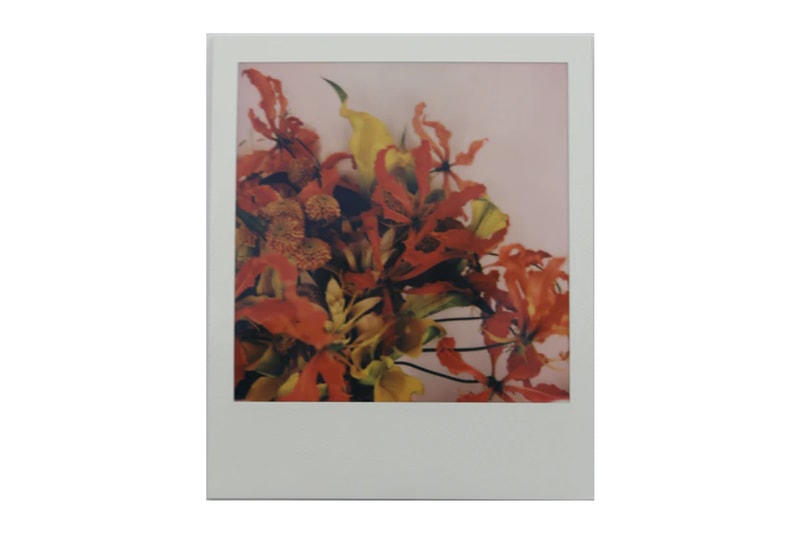 Nobuyoshi Araki 'Paradise' HK Pop-Up Exhibition | Hypeart