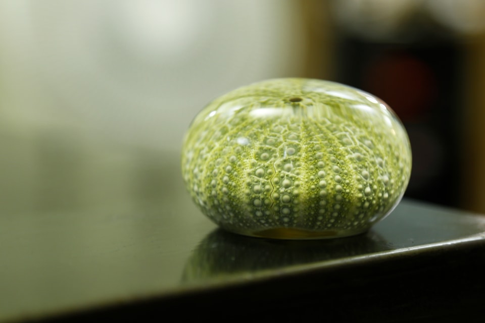 Usagi No Nedoko 打造稀有海膽藝術擺設「UNIMARU」 | HYPEBEAST