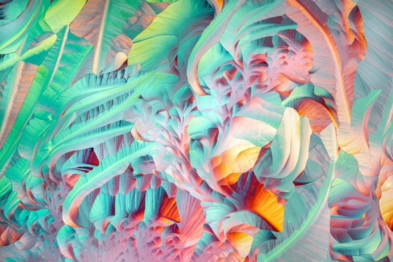 Nikon 2020《Small World Photography Competition》显微摄影大赛得奖作品正式公布 | Hypebeast