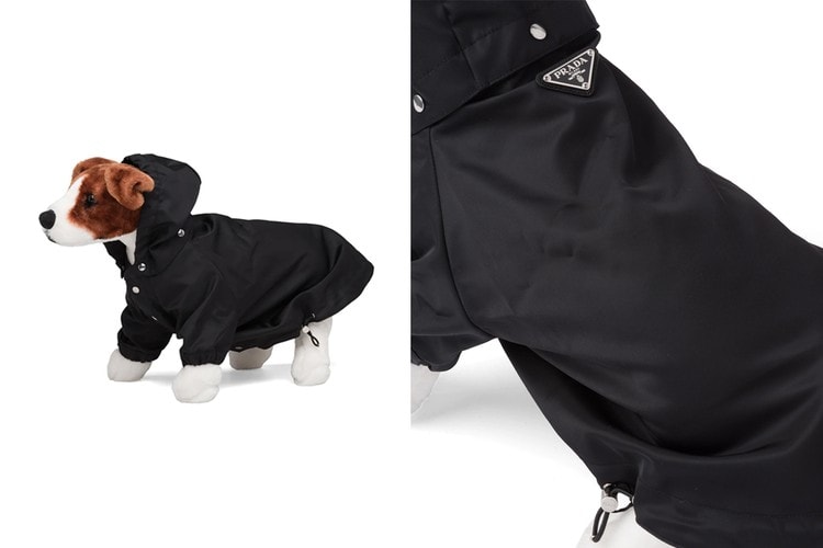 Prada 推出要价 $520 美元宠物犬用雨衣 | Hypebeast