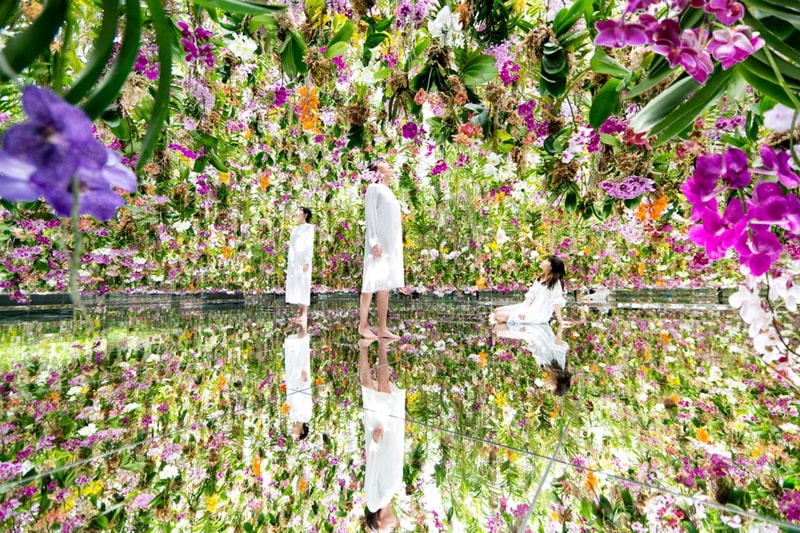 teamLab 全新「Garden Area」永久装置艺术作品正式开催 | Hypebeast