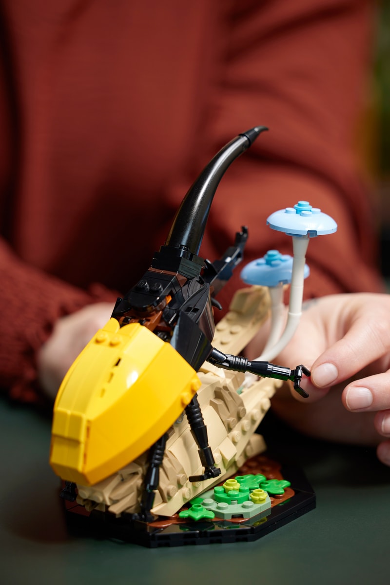 LEGO Ideas 推出全新昆虫主题系列 | Hypebeast