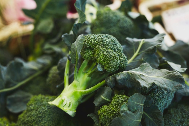 Pantone Green Broccoli