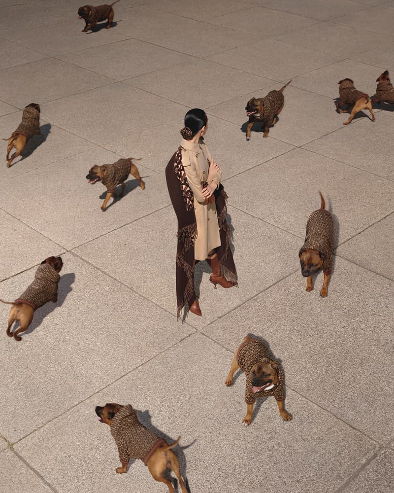 Burberry B Series Monogram Dog Custom Hoodie | Hypebae