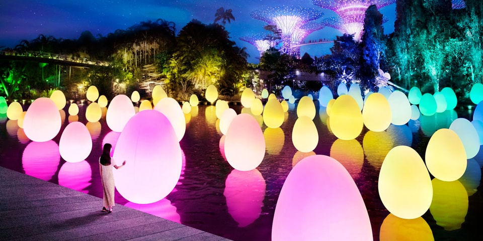 teamLab to Open Immersive Light Show in Singapore | Hypebae