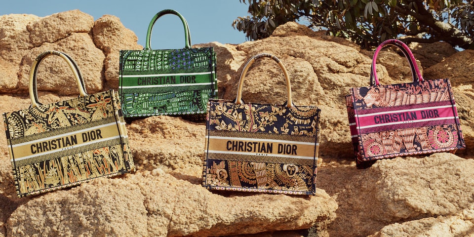 Dior Cruise 2020 Collection Campaign Luggage Tote | Hypebae
