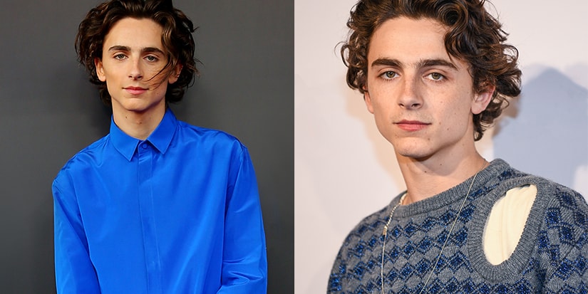 Timothée Chalamet Style and Fashion Essentials | Hypebae