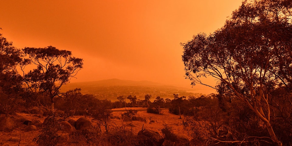 Rowing Blazers Supports Australian Fire Relief | Hypebae