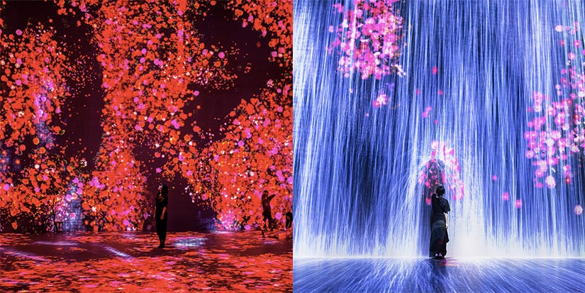 teamLab to Open at Seoul Dongdaemun Design Plaza | Hypebae