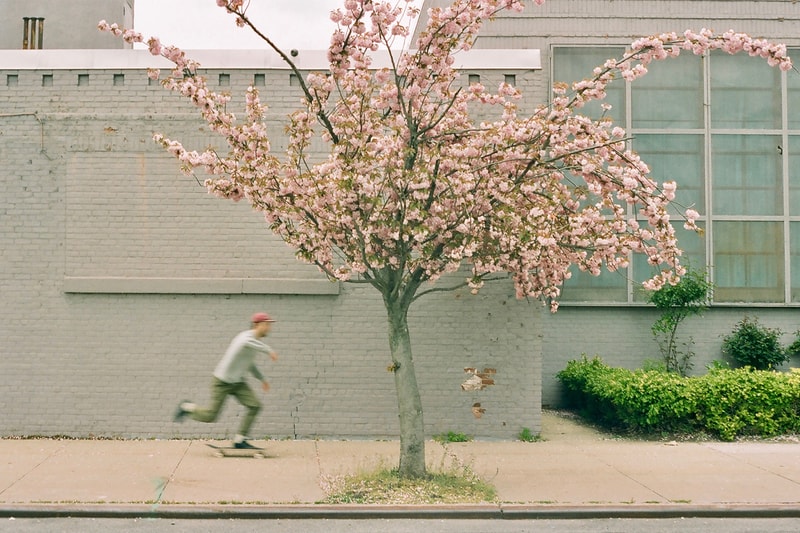 Root Studios Freedom x Equal Justice Print Sale | Hypebae