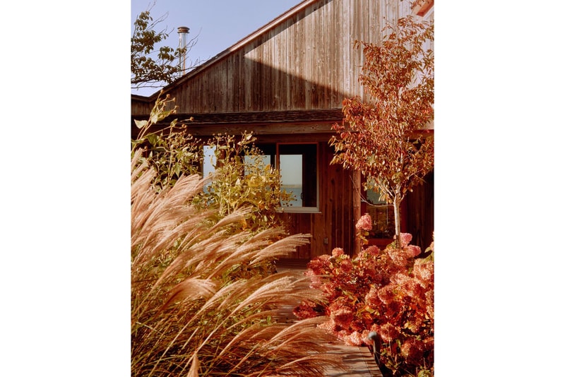 Root Studios Freedom x Equal Justice Print Sale | Hypebae