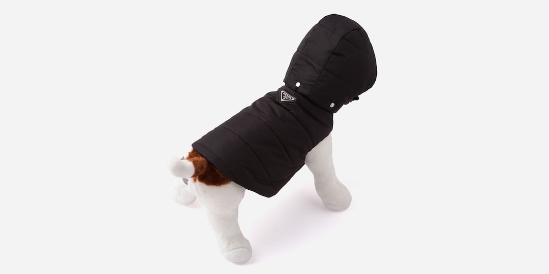 Prada Logo Dog Coats & Jackets Holiday 2020 | Hypebae