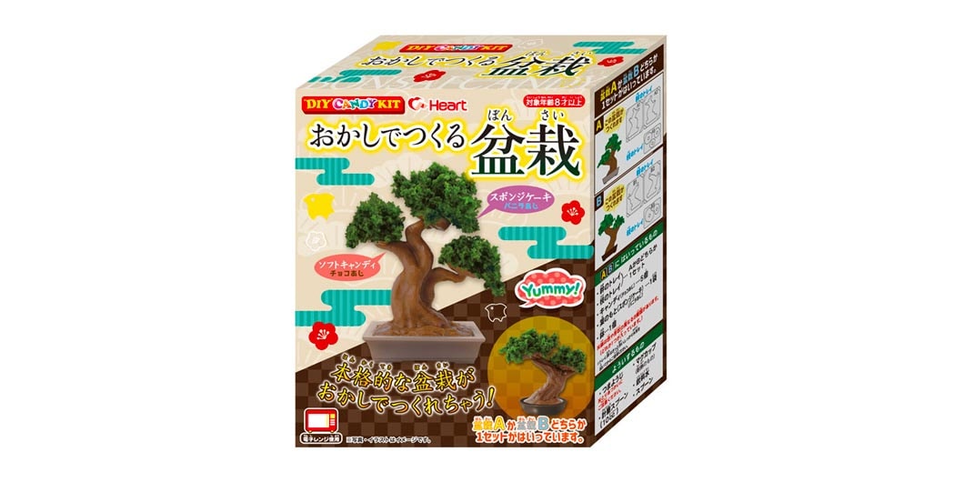 Make a Chocolate Bonsai Tree With This DIY Kit | Hypebae