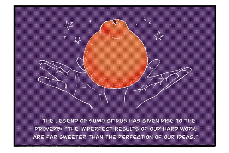 The Story of Sumo Citrus Social Media's Favorite Fruit | Hypebae