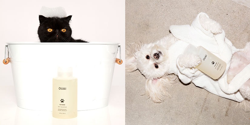 OUAI Fur Bébé Dog and Cat Shampoo Release | Hypebae