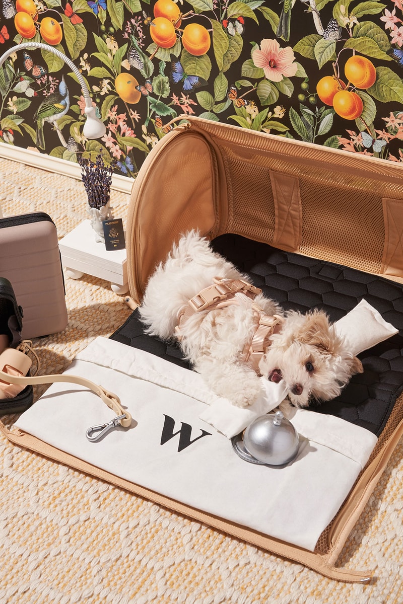 Wild One Launches Pet Accessories for Small Dogs | Hypebae