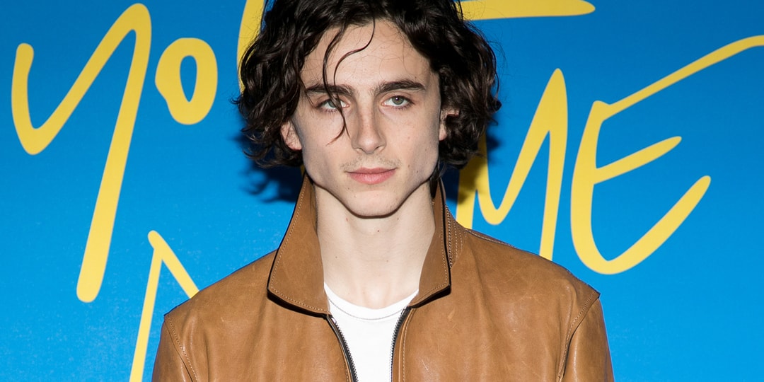 Luca Guadagnino Cancels Call Me By Your Name Sequel | Hypebae