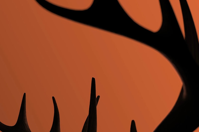 Daniëlle Cathari Unveils Short Film at 'OASIS' | Hypebae