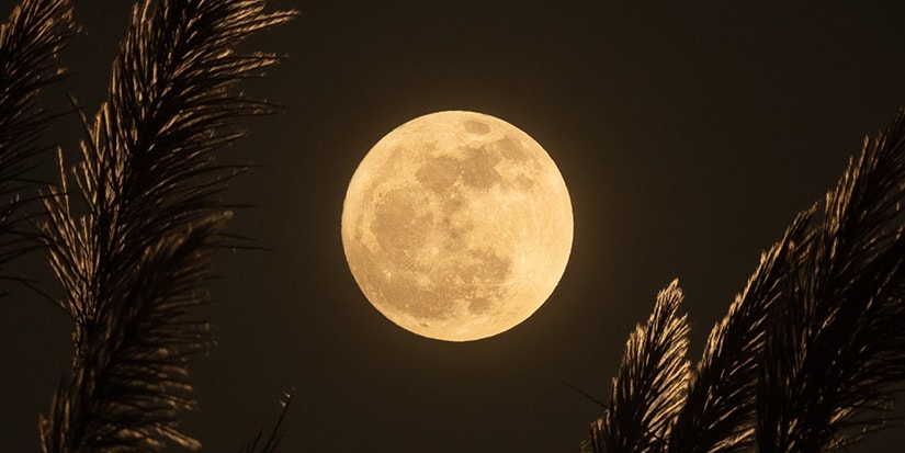 How September Full Moon Affects Your Zodiac Sign | Hypebae