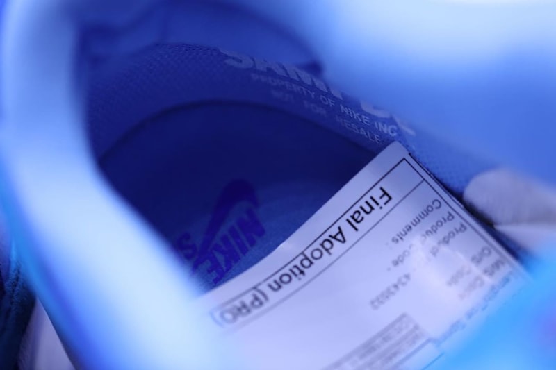 Nike to Release SB Dunk Low "Blueberry" | Hypebae