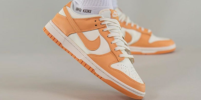 The 10 Best Nike Dunk Lows to Shop This Winter | Hypebae