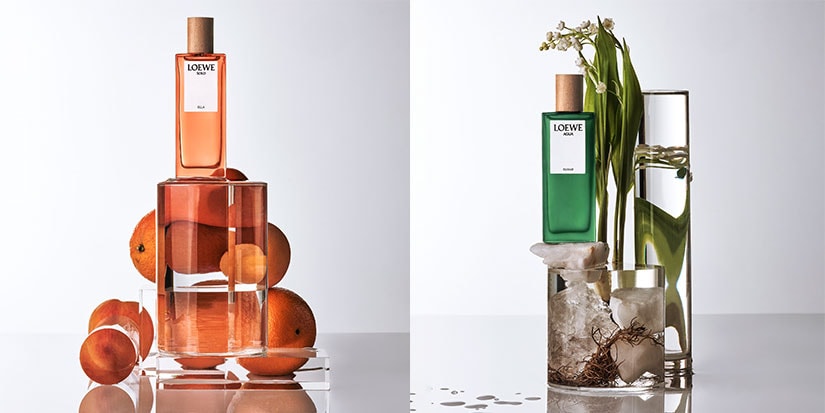 LOEWE New Perfume Collection Release Info | Hypebae