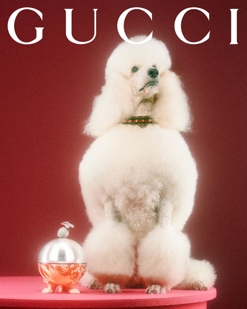 Gucci Debuts Collection Dedicated to Pets | Hypebae