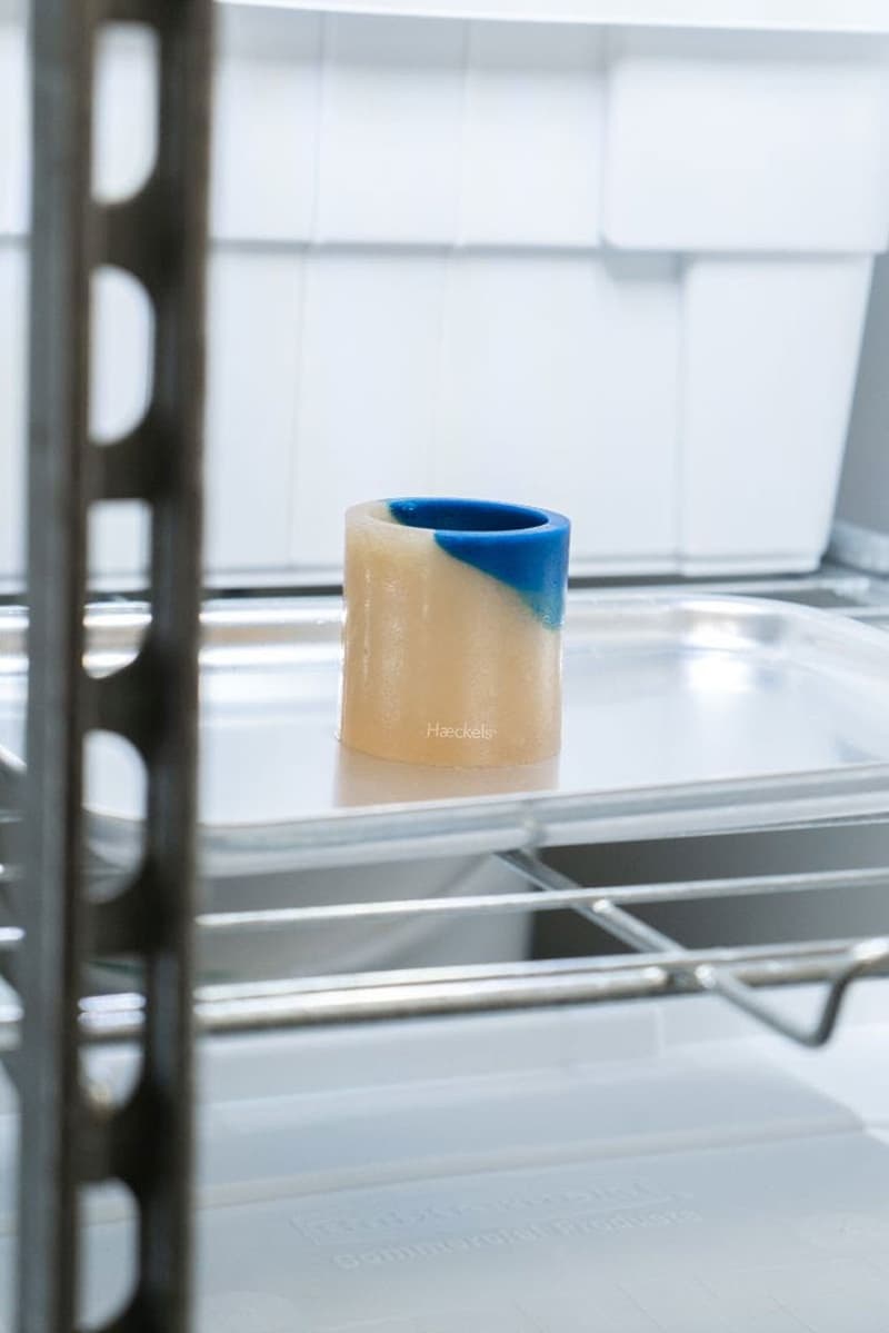 Haeckels Launches Edible Cup with Red Bull | Hypebae