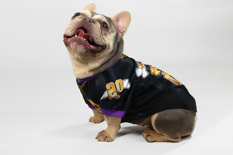 Snoop Dogg Launches Petwear Snoop Doggie Doggs | Hypebae