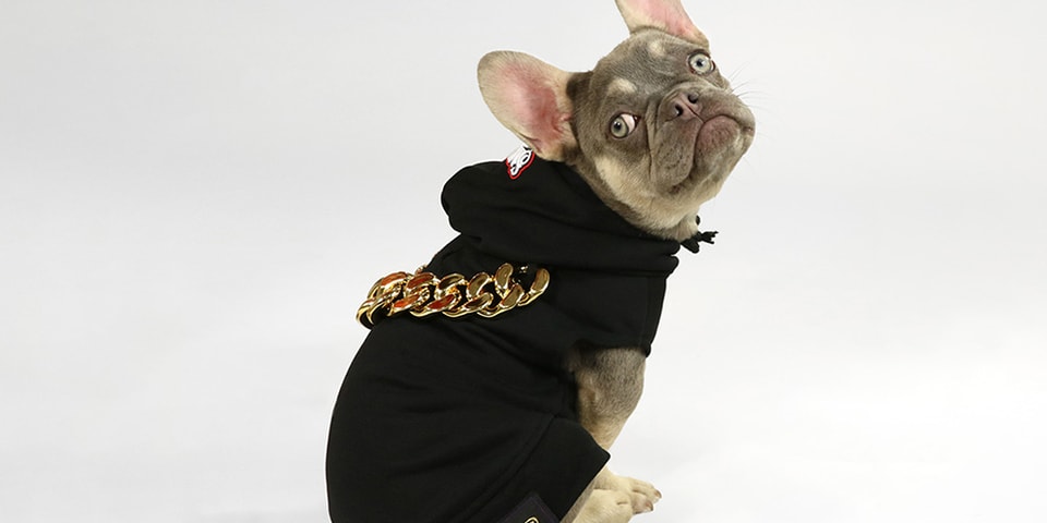 Snoop Dogg Launches Petwear Snoop Doggie Doggs | Hypebae