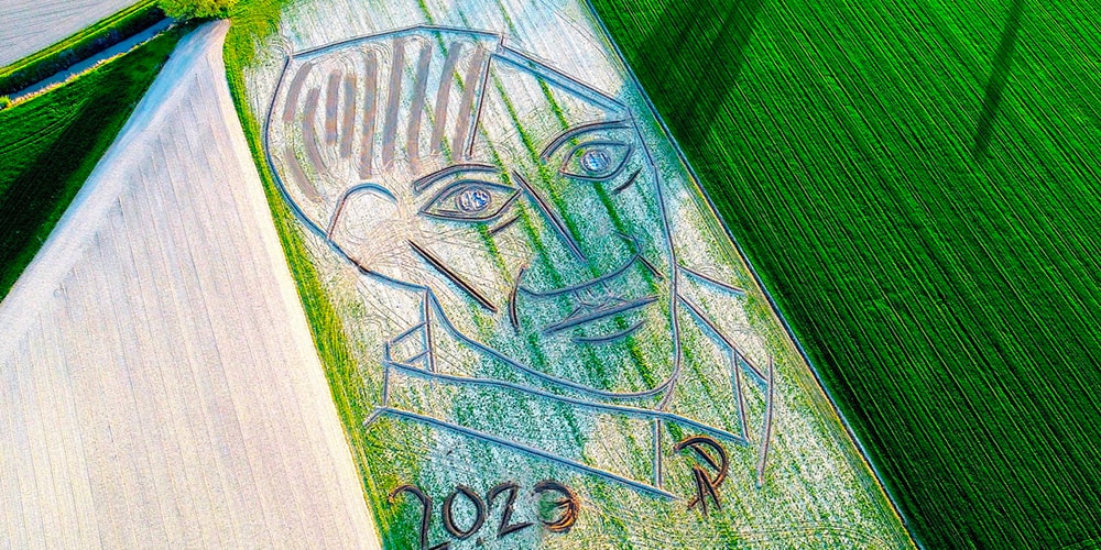 Artist Dario Gambarin Pablo Picasso Land Portrait | Hypebae