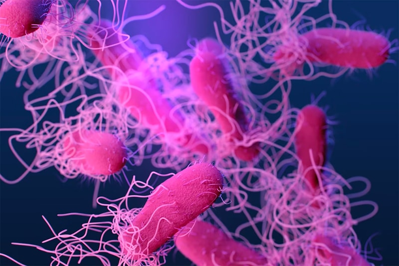 Icymi Oral Sex Is Top Throat Cancer Risk Factor Hypebae