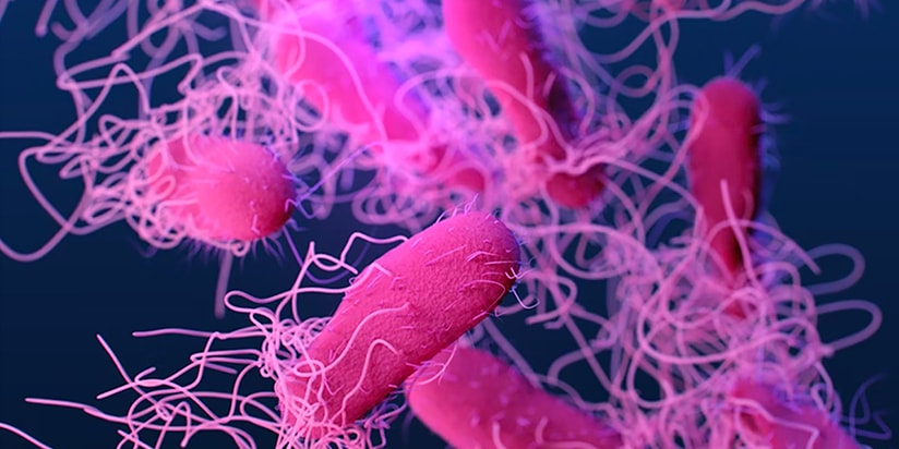 Icymi Oral Sex Is Top Throat Cancer Risk Factor Hypebae