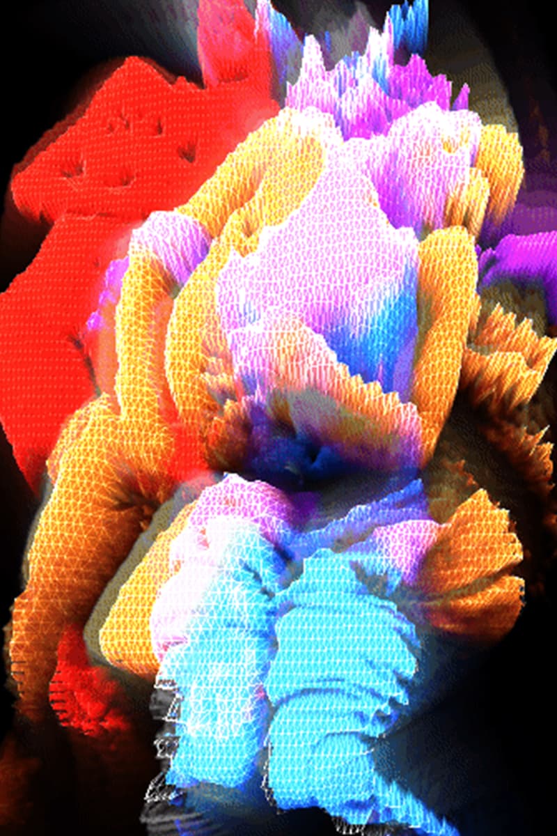 Kate Neave's Digital Exhibition on Performance Anxiety | Hypebae