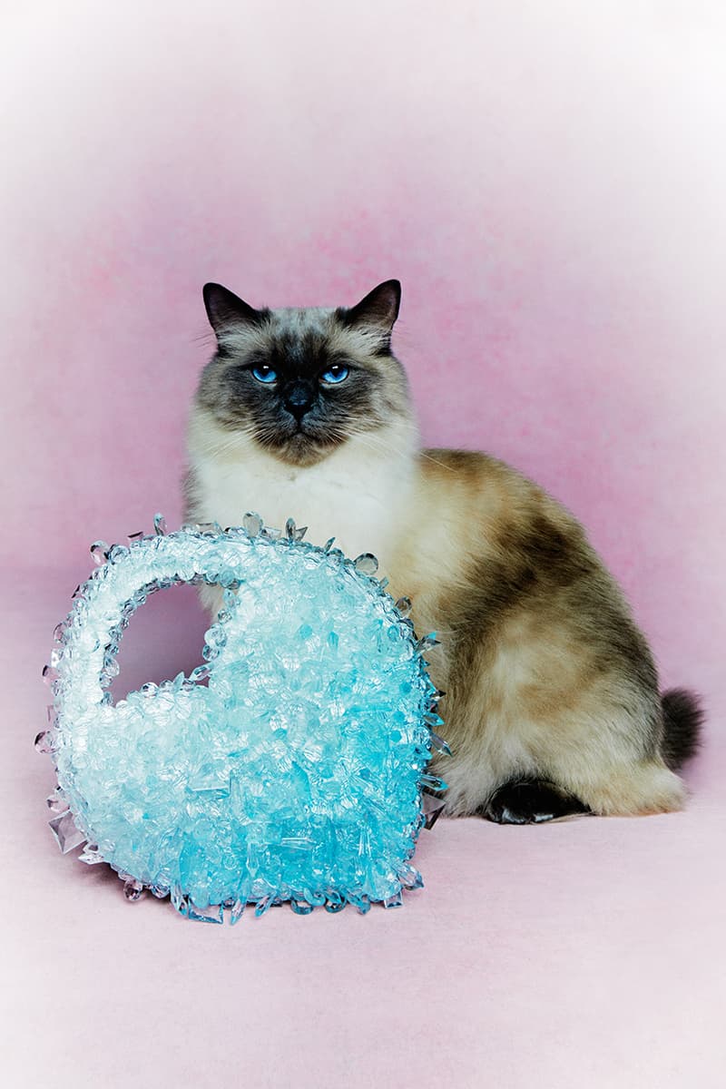 Clio Peppiatt Launches Spring Handbag Collection | Hypebae