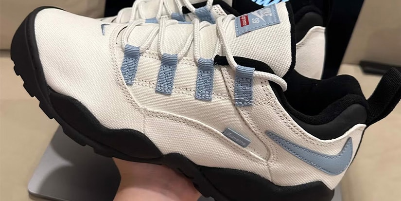 Supreme and Nike Tease SB Air Darwin Low Sneaker | Hypebae